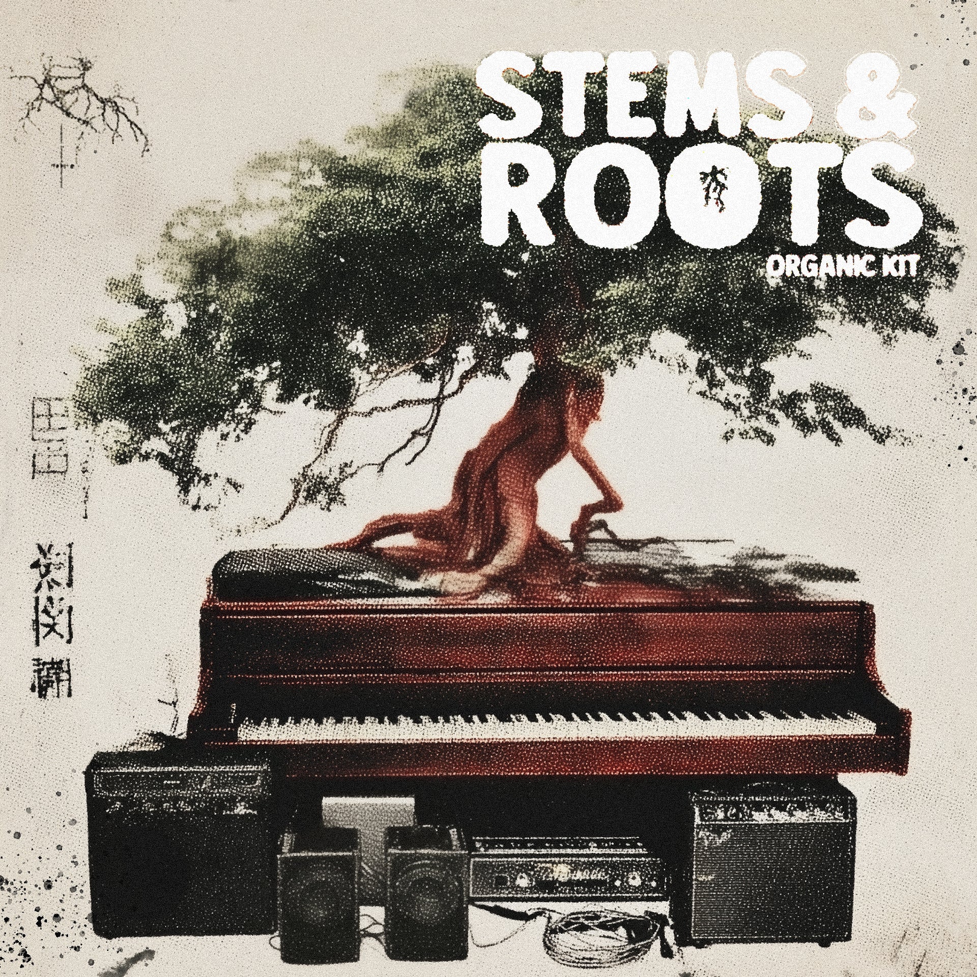 Stems & Roots – WAY 2